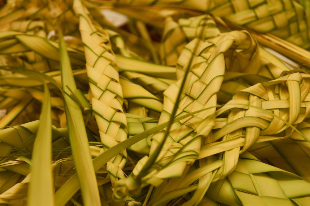 O que fazer com os ramos abençoados no Domingo de Ramos? | Gaudium Press