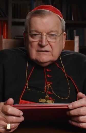 Cardeal Burke deplora vídeos “deepfakes” | Gaudium Press